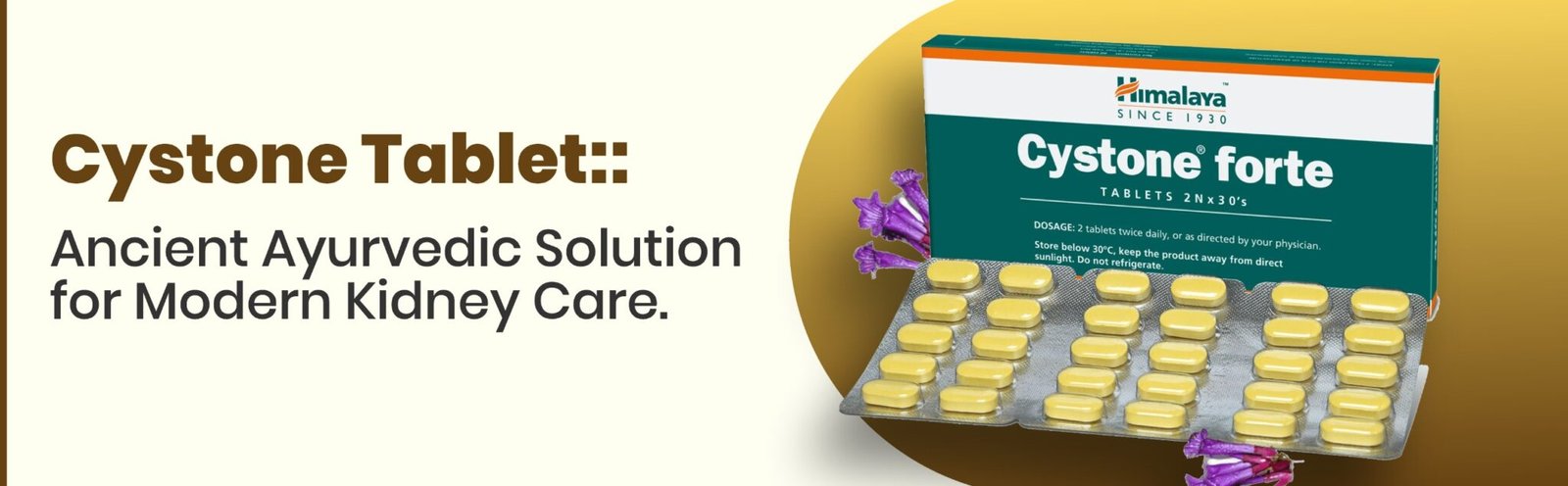 November, 2025 - Knowledge Panel - Dr. Ankit Kayal